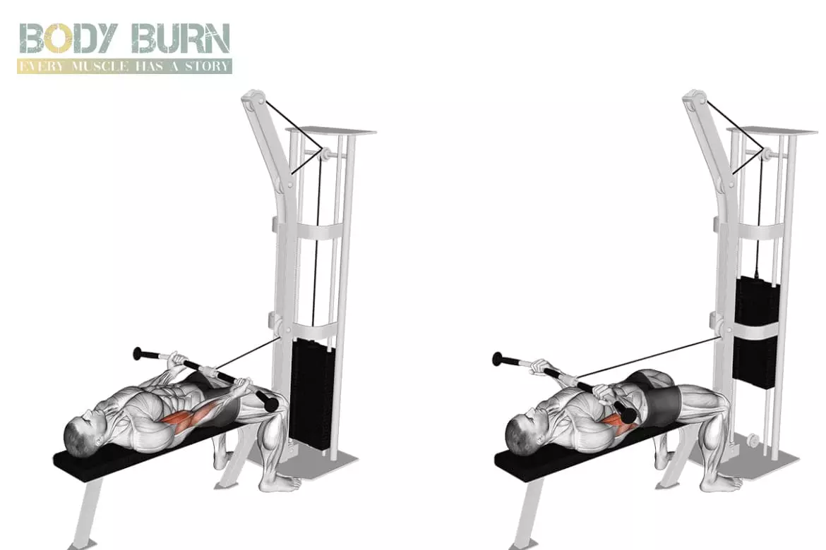 Curl allongé à la poulie - Exercices - Body Burn Curl allongé à la poulie - Exercices - Body Burn